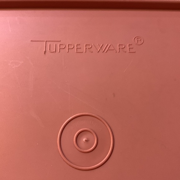 Tupperware | Kitchen | Rectangular Tupperware Marinating Container Rust ...